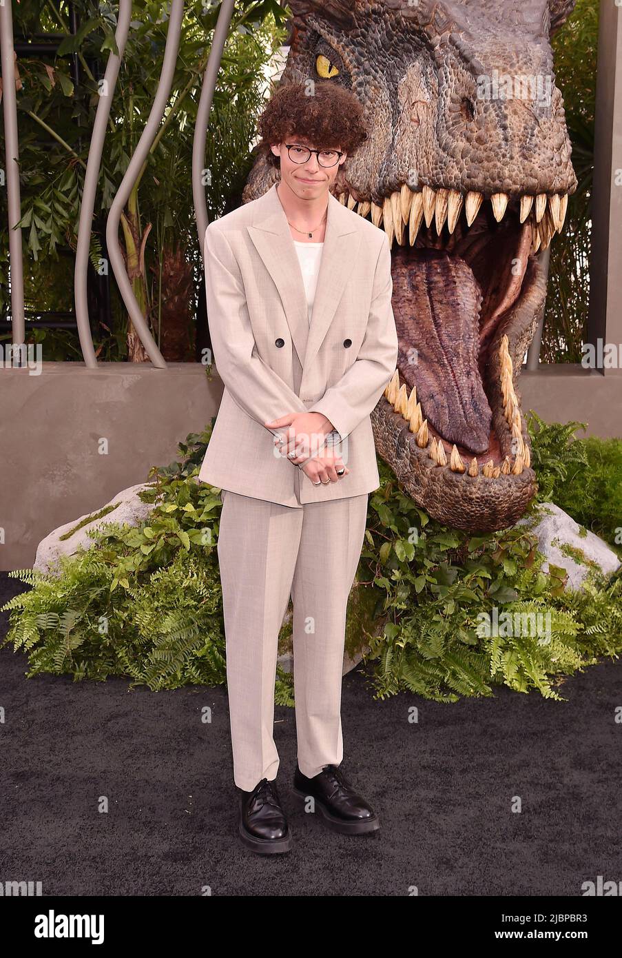 HOLLYWOOD, CA - JUNE 06: Reece Feldman attends the Los Angeles premiere ...