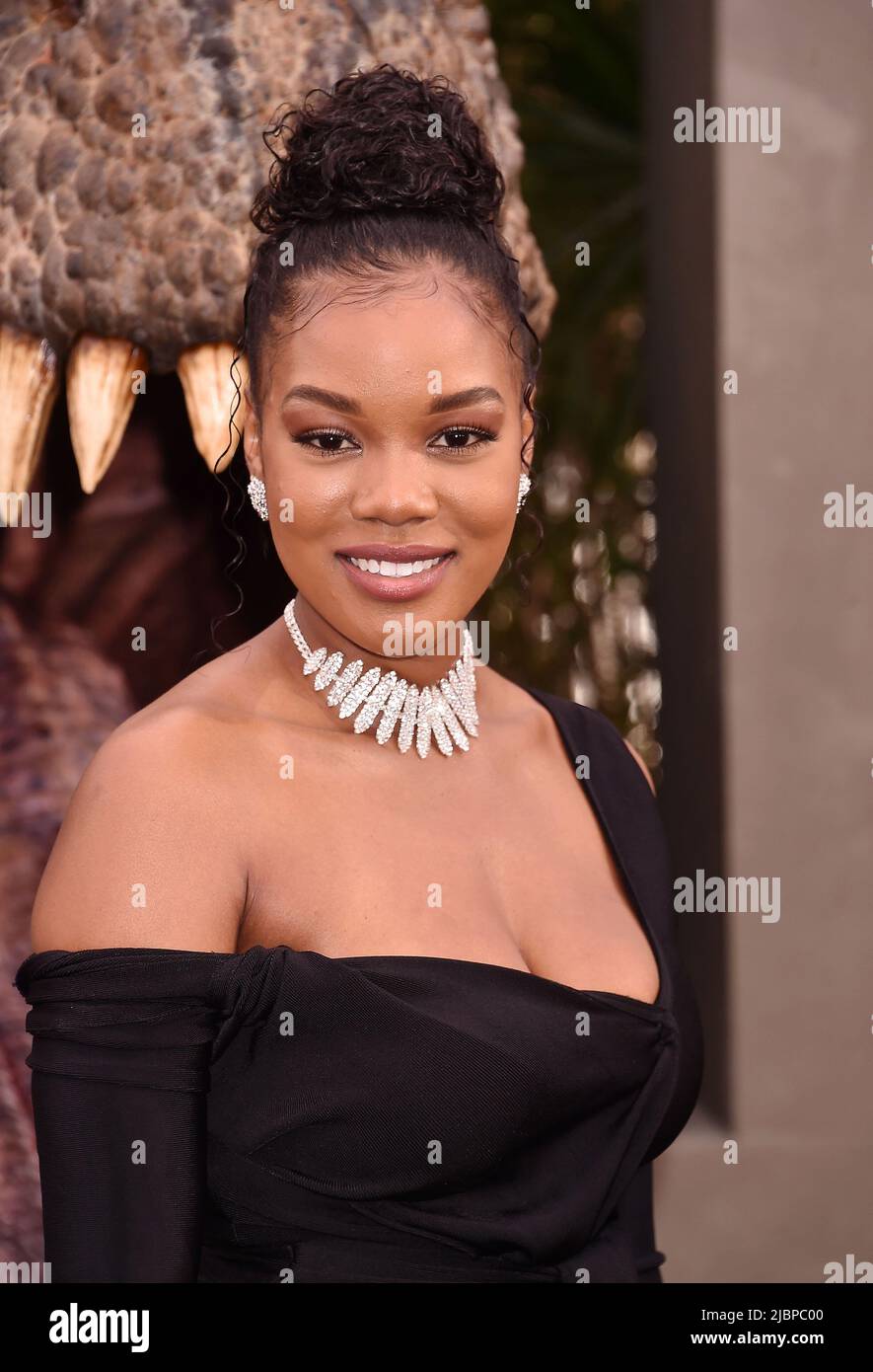 HOLLYWOOD, CA - JUNE 06: Mea Wilkerson attends the Los Angeles premiere ...
