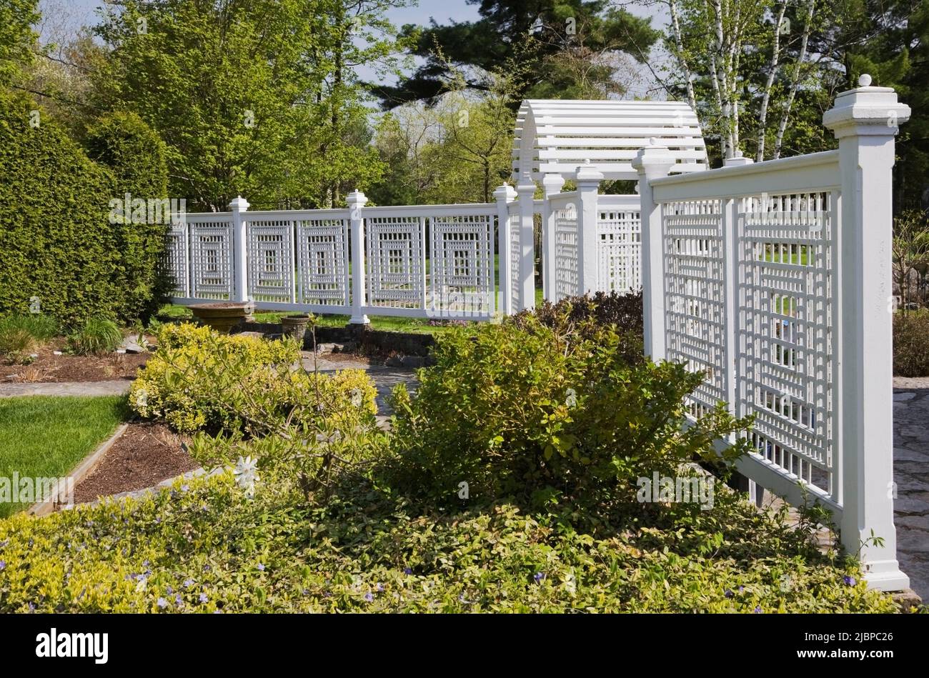 Border with deciduous shrubs and white wooden fence with trellis frames ...