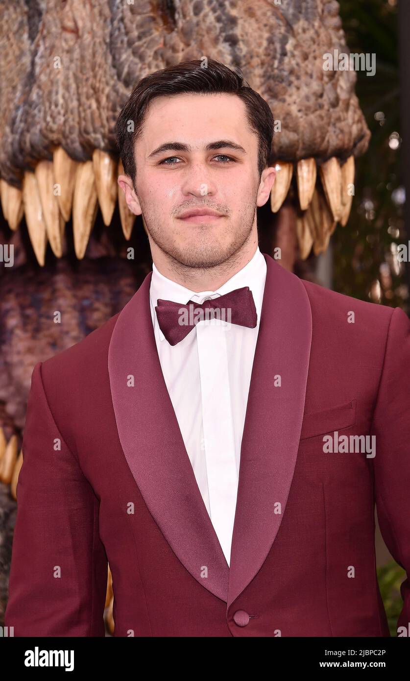 HOLLYWOOD, CA - JUNE 06: Chris Olsen attends the Los Angeles premiere ...