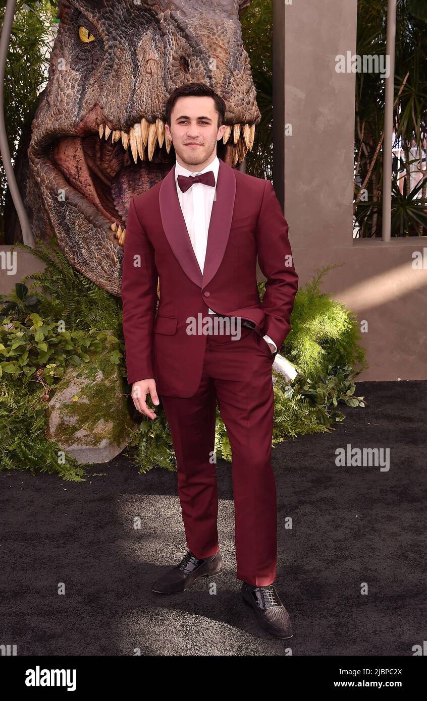 HOLLYWOOD, CA - JUNE 06: Chris Olsen attends the Los Angeles premiere ...