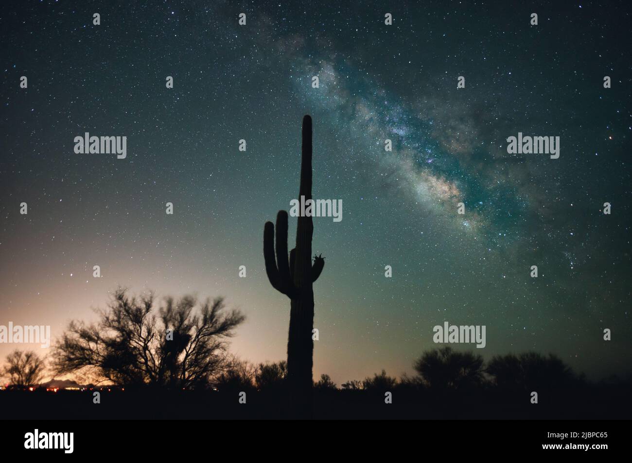Desert with saguaro cactus and milky way hi-res stock photography and ...