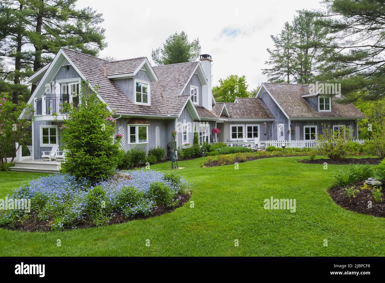 New Hampton style house with landscaped front yard and blue Myosotis ...