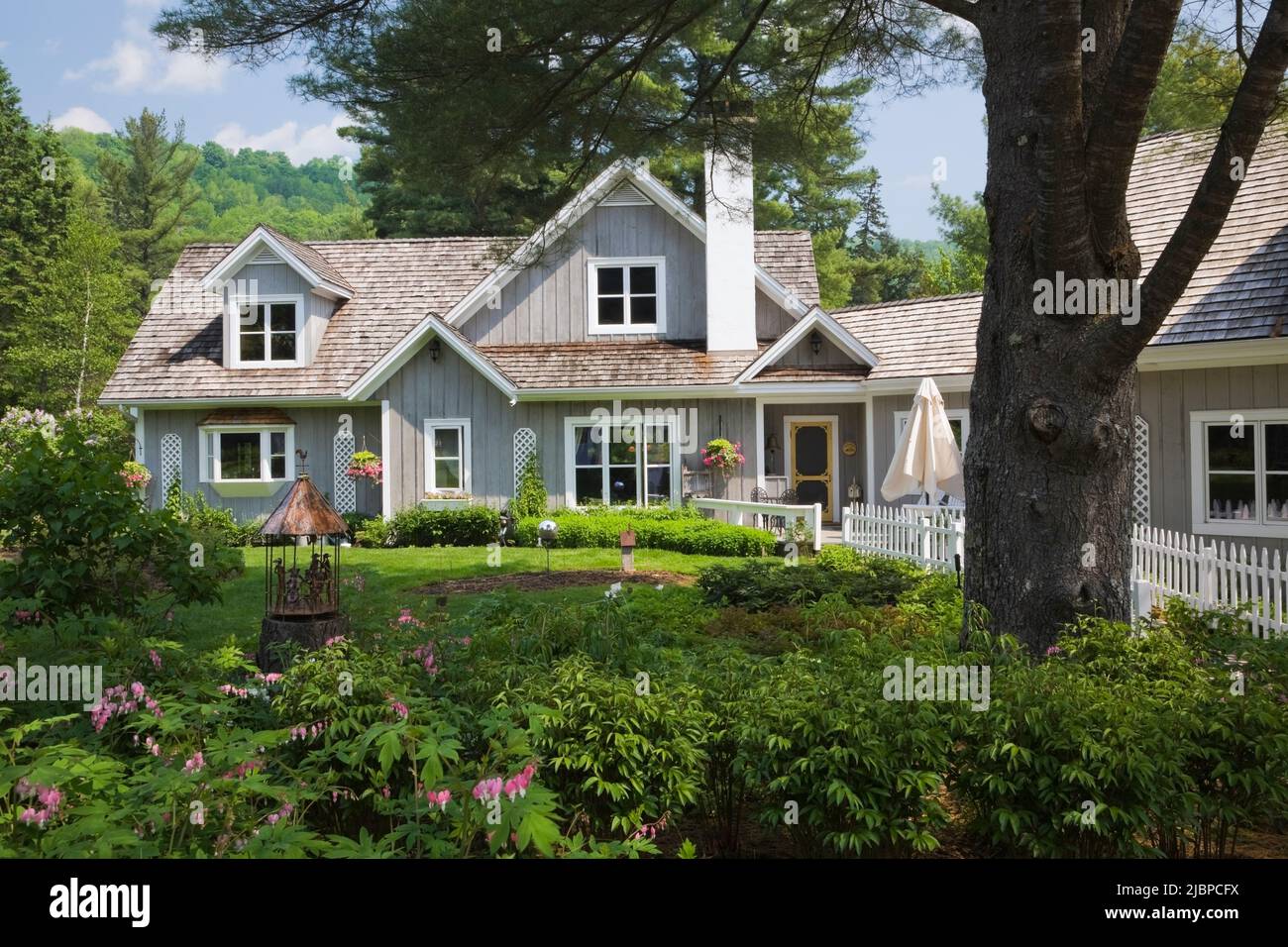 New Hampton cottage style home and rose pink Dicentra spectabilis ...