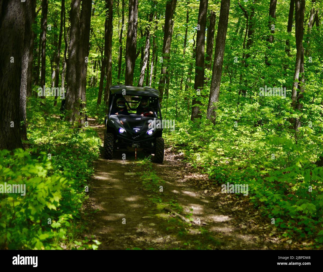 UTV (Utility Terrain Vehicles) 4x4 being driven off-road at Road ...