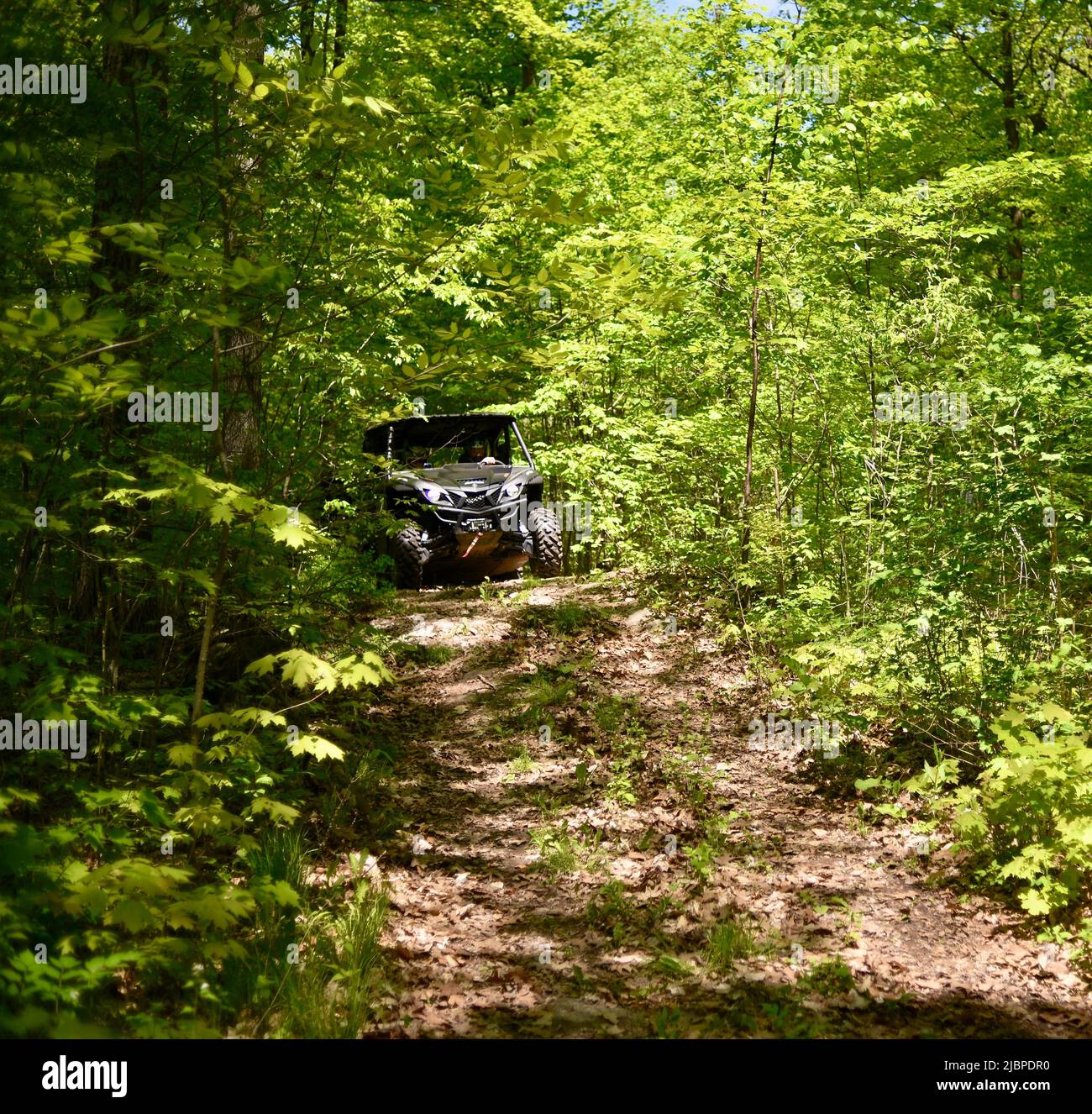 UTV (Utility Terrain Vehicles) 4x4 being driven off-road at Road ...