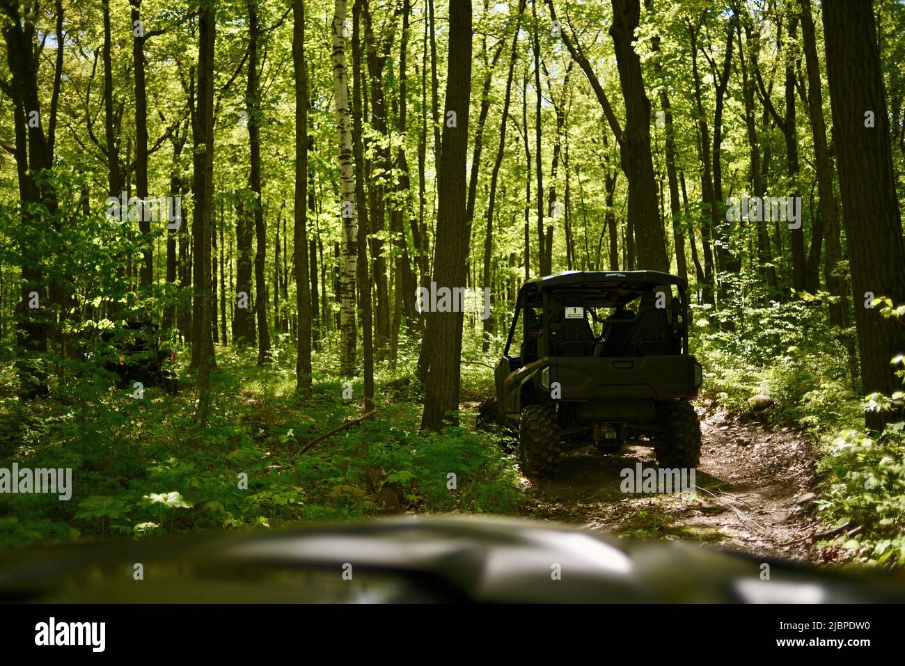 UTV (Utility Terrain Vehicles) 4x4 being driven off-road at Road ...