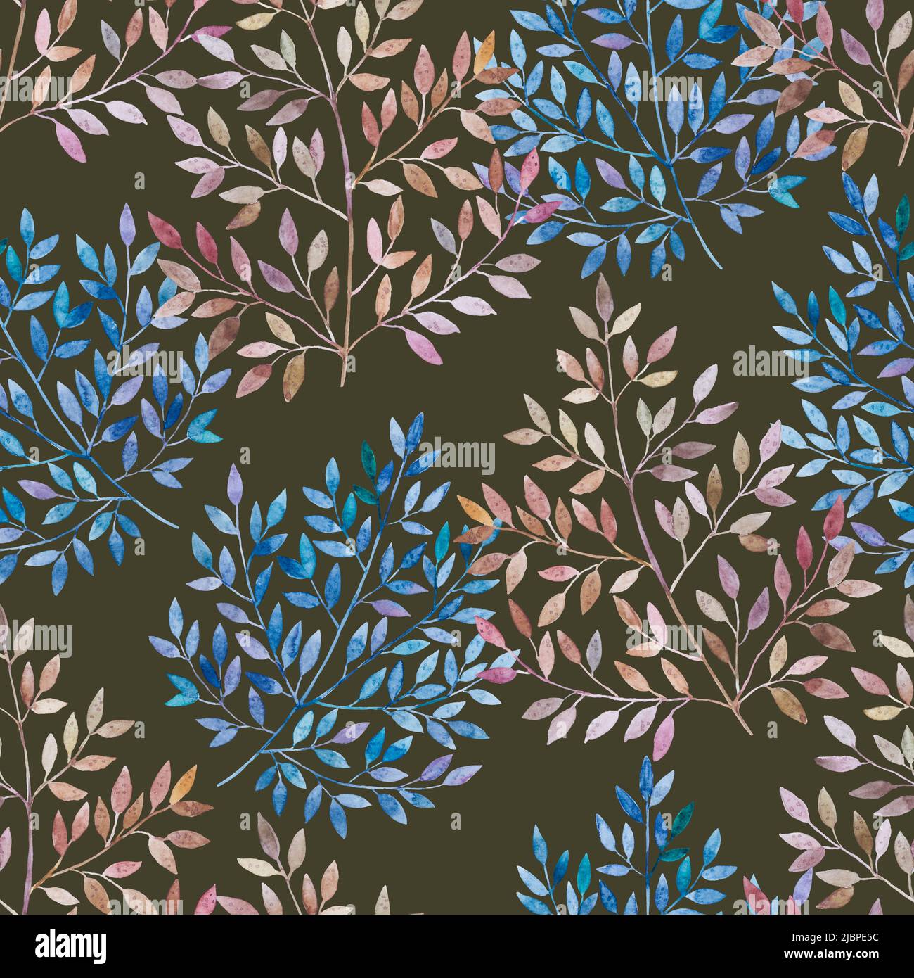 Simple detailed branches hi-res stock photography and images - Alamy