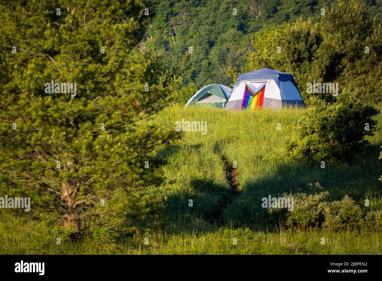 Camping outdoors with pride LGBT flag on tent and nobody at sunrise ...