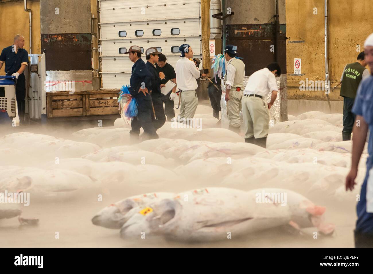 Tsukiji Fish Market, Tokyo Stock Photo - Alamy