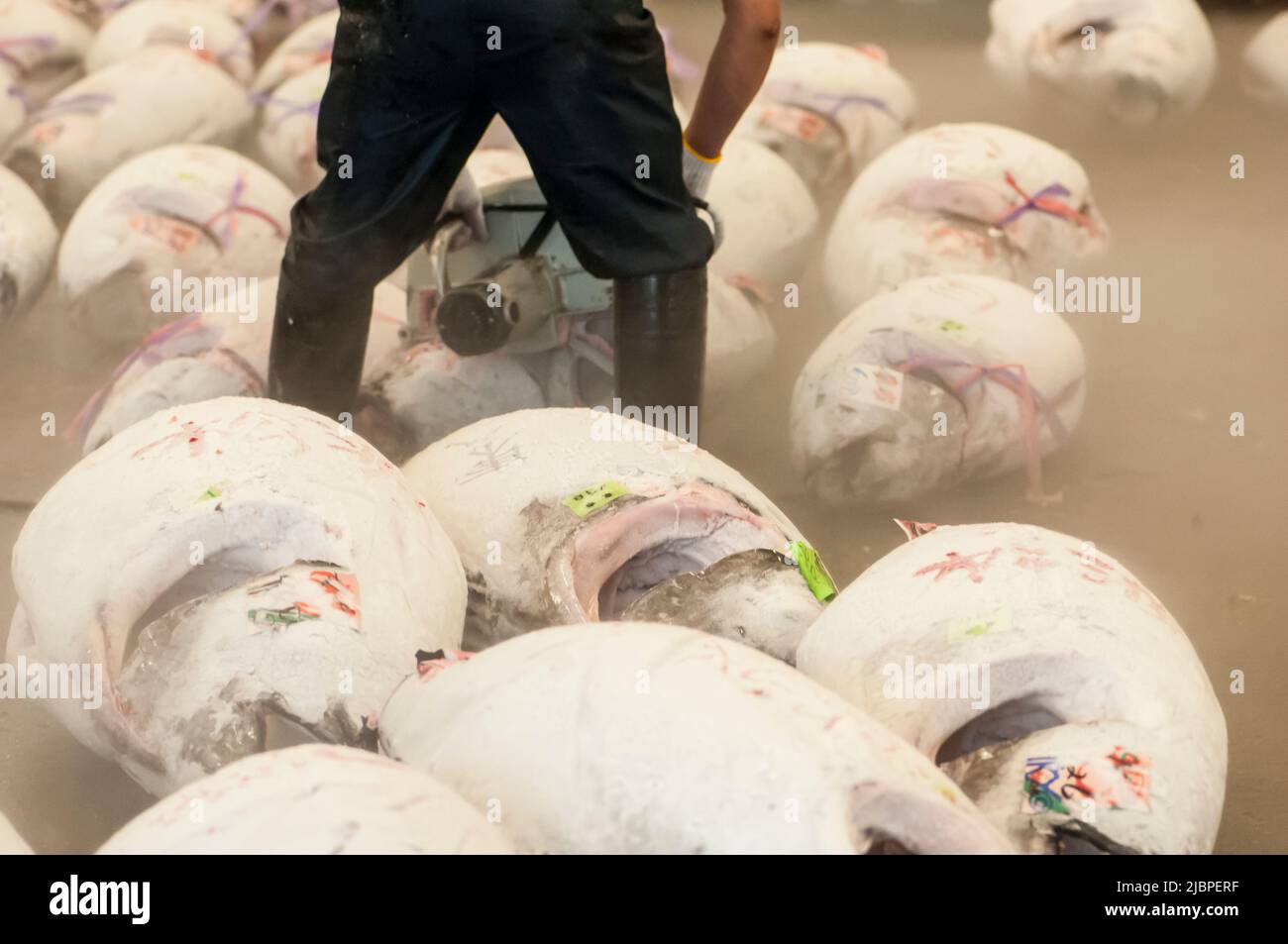 Tsukiji Fish Market, Tokyo Stock Photo - Alamy
