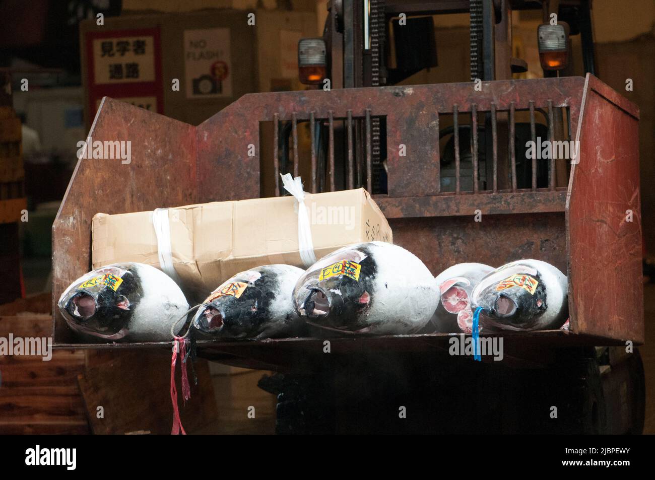 Tsukiji Fish Market, Tokyo Stock Photo - Alamy