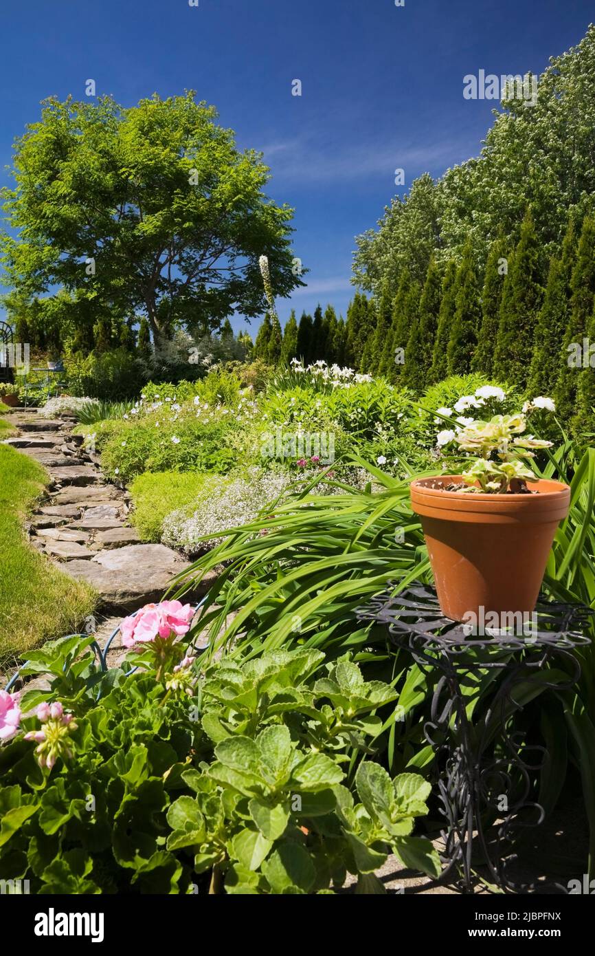 Terracotta flower pot on top of wrought iron table and flagstone ...