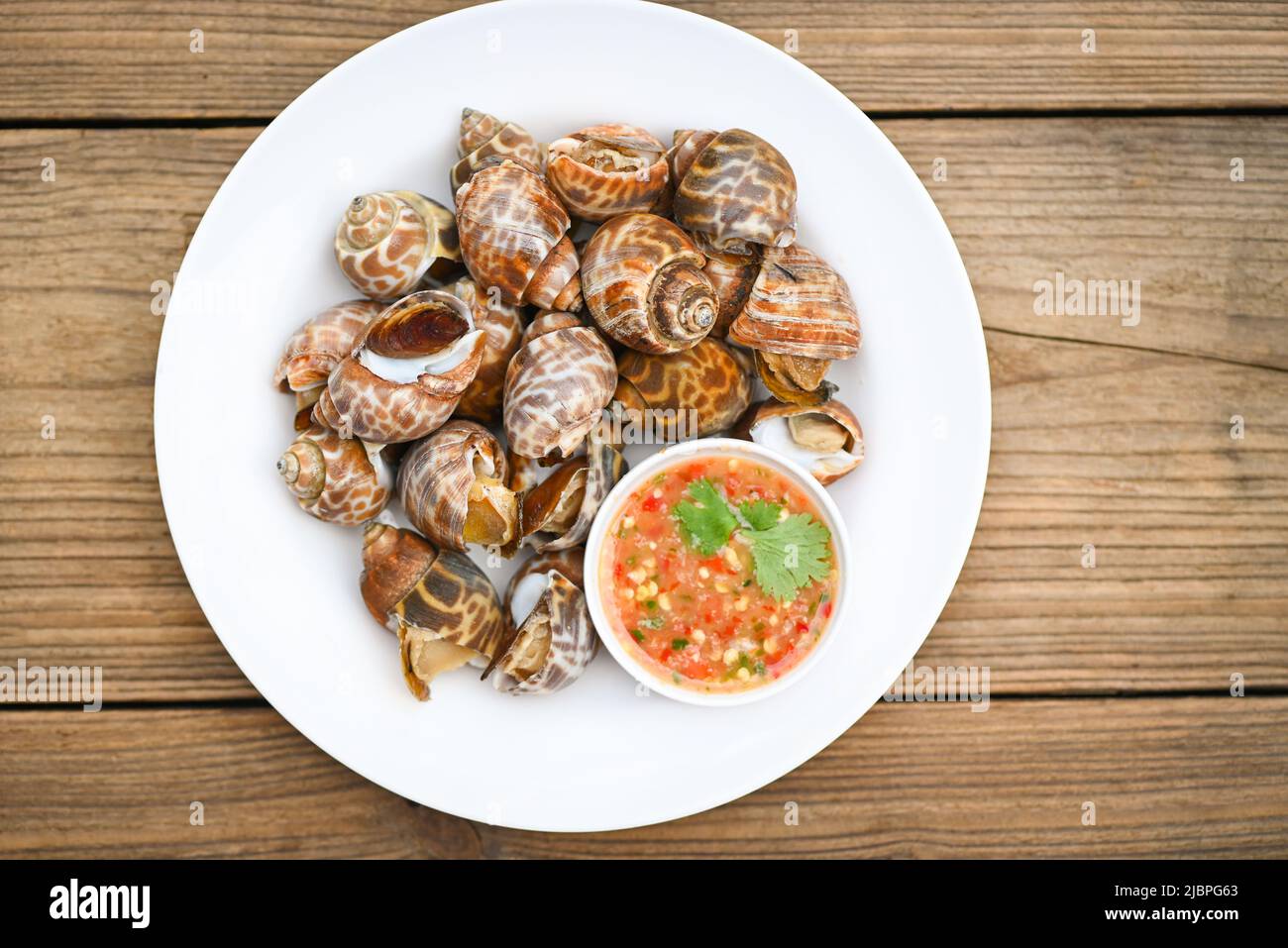 Fresh Spotted babylon Sea shell limpet ocean gourmet seafood in the ...