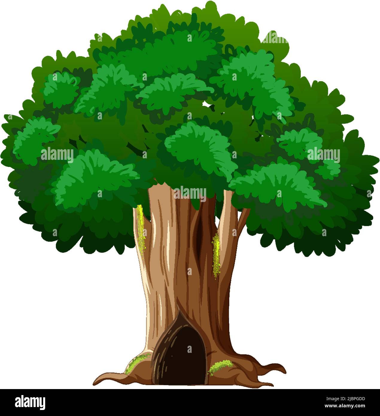 Big tree isolated cartoon illustration Stock Vector Image & Art - Alamy
