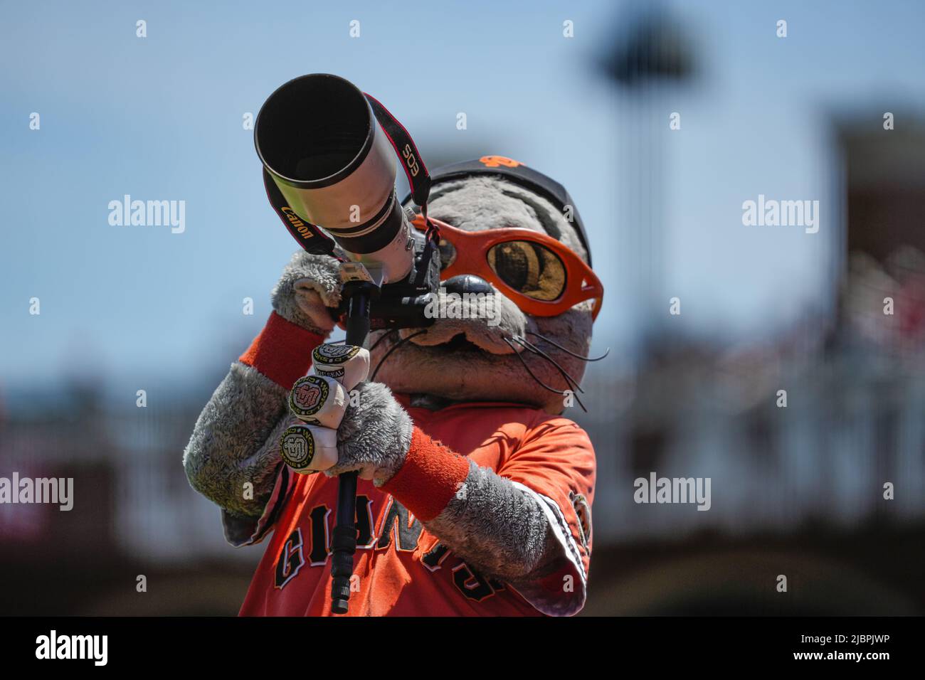 San Francisco Giants Mascot Lou Seal during an MLB game between New ...