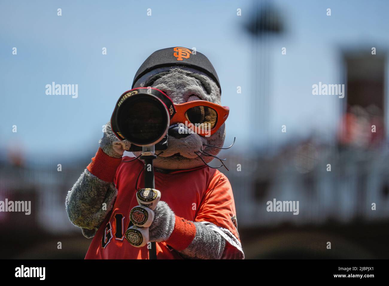 Lou seal, san francisco giants hi-res stock photography and images - Alamy