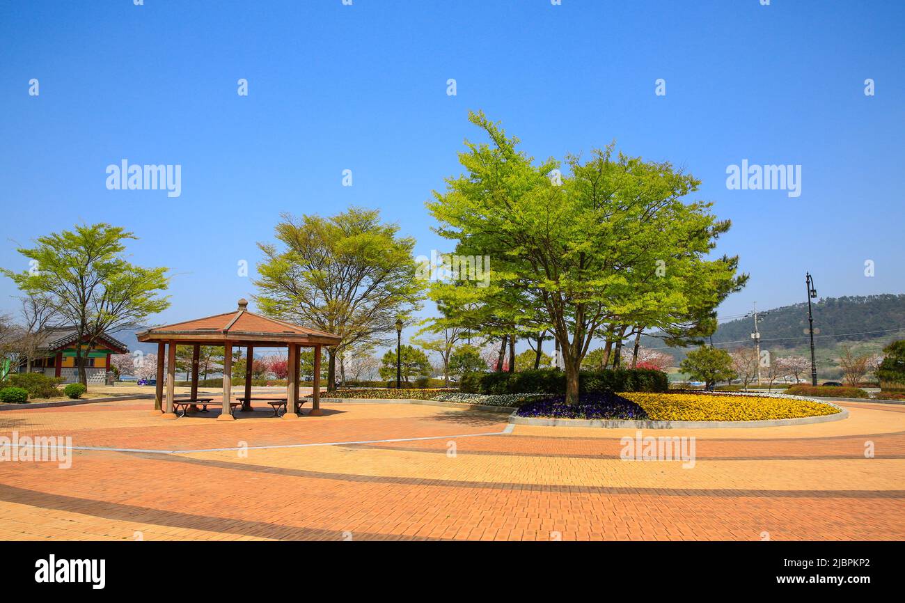 A quiet country park scene with a zelkova tree and a pavilion Stock ...
