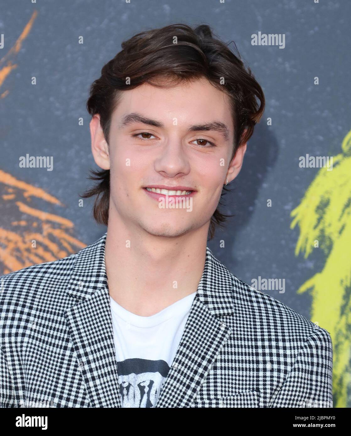 Louis Partridge's Profile: Age, Height, Family, Movies And TV Shows Of ...