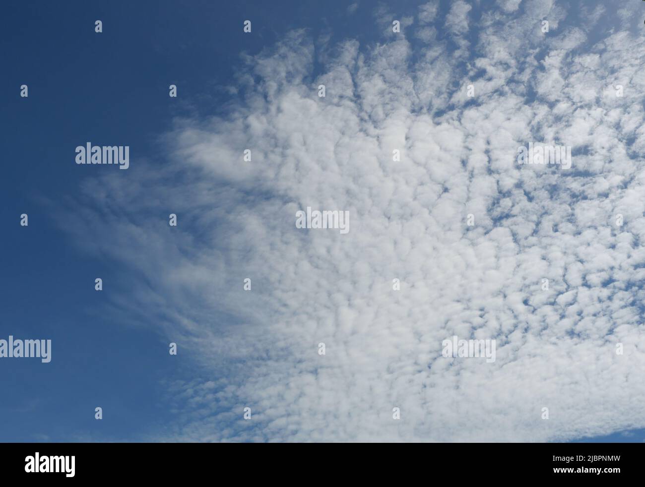 Altocumulus cloud on beautiful blue sky , Fluffy clouds formations at tropical zone Stock Photo ...
