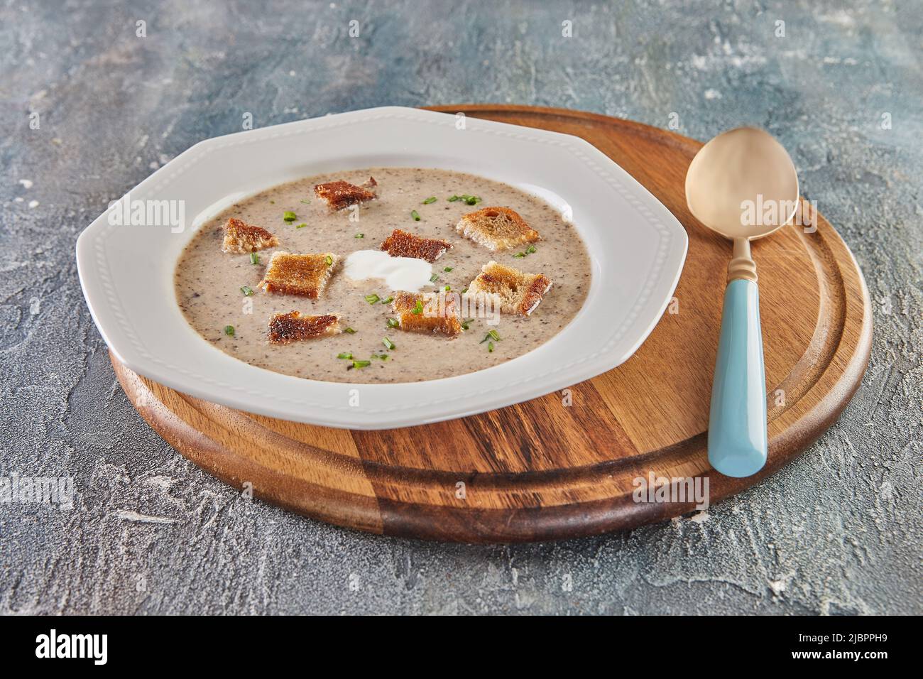 Soup with five different varieties of mushrooms. Champignons, Wild ...