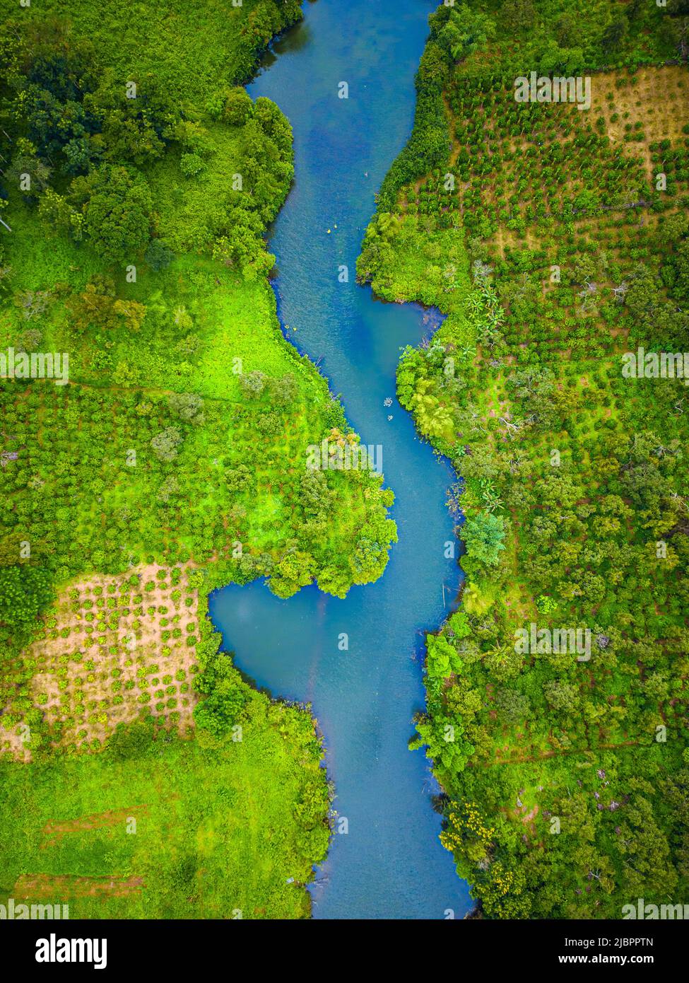Aerial landscape of winding clear blue river in green field, top view ...
