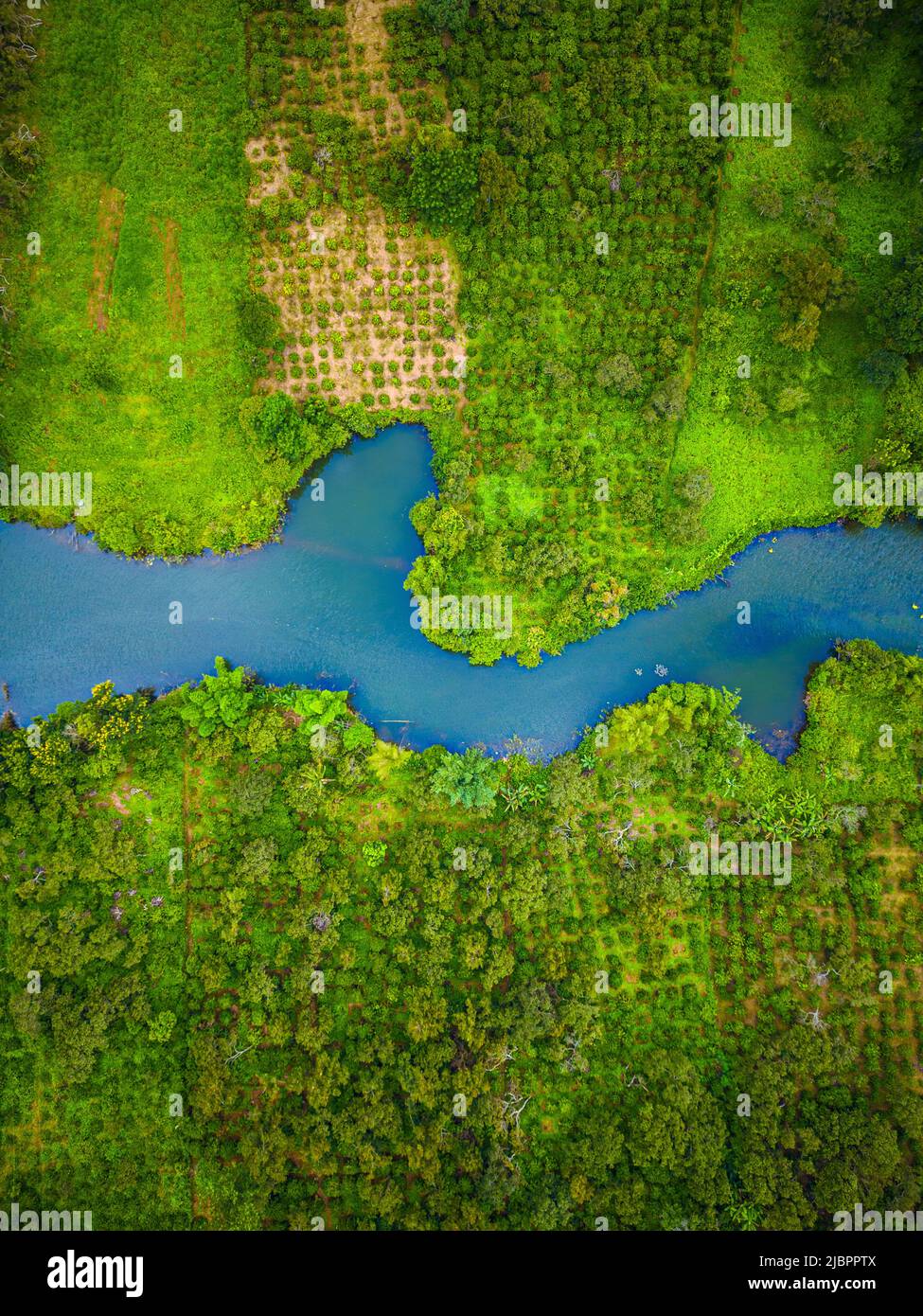 Aerial landscape of winding clear blue river in green field, top view ...