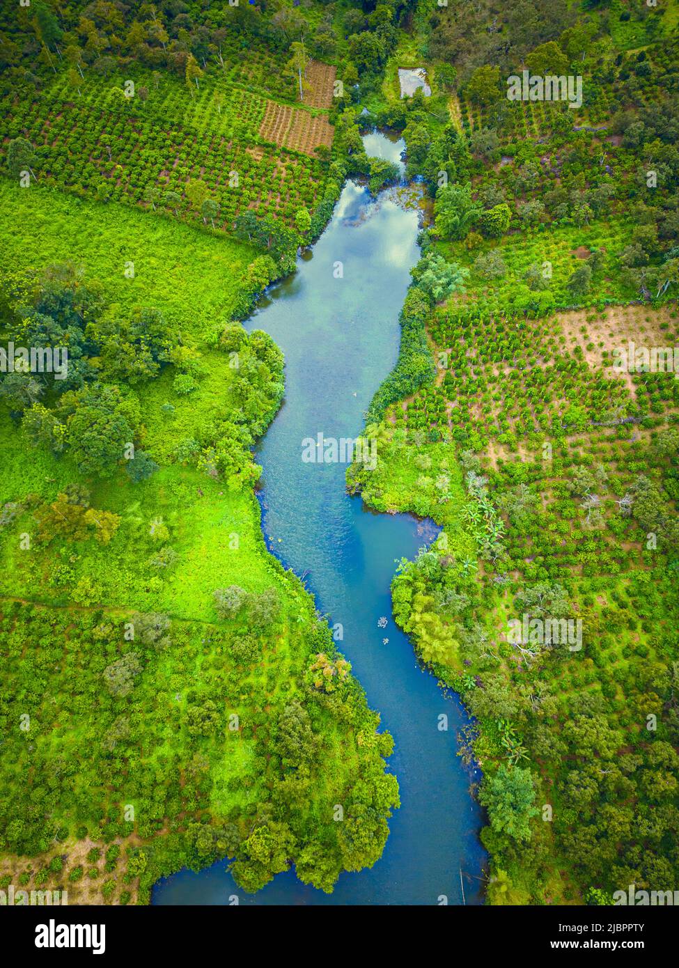 Aerial landscape of winding clear blue river in green field, top view ...