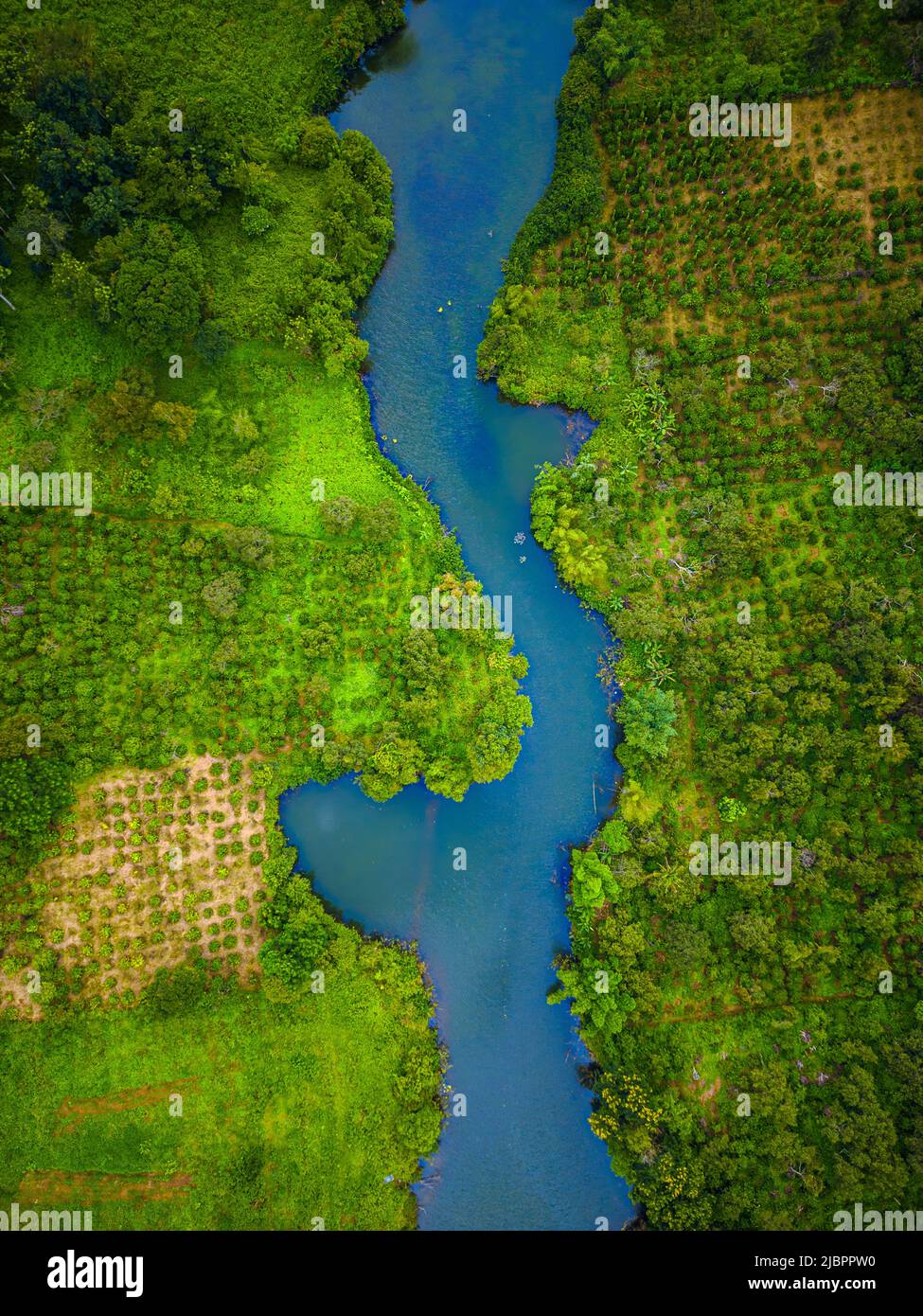 Aerial landscape of winding clear blue river in green field, top view ...