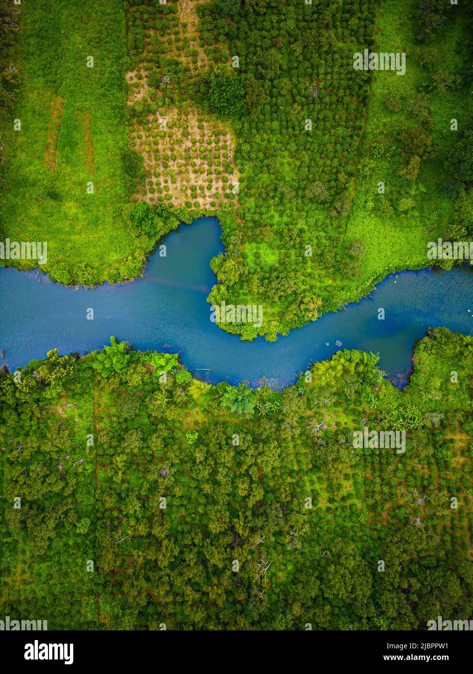 Aerial landscape of winding clear blue river in green field, top view ...