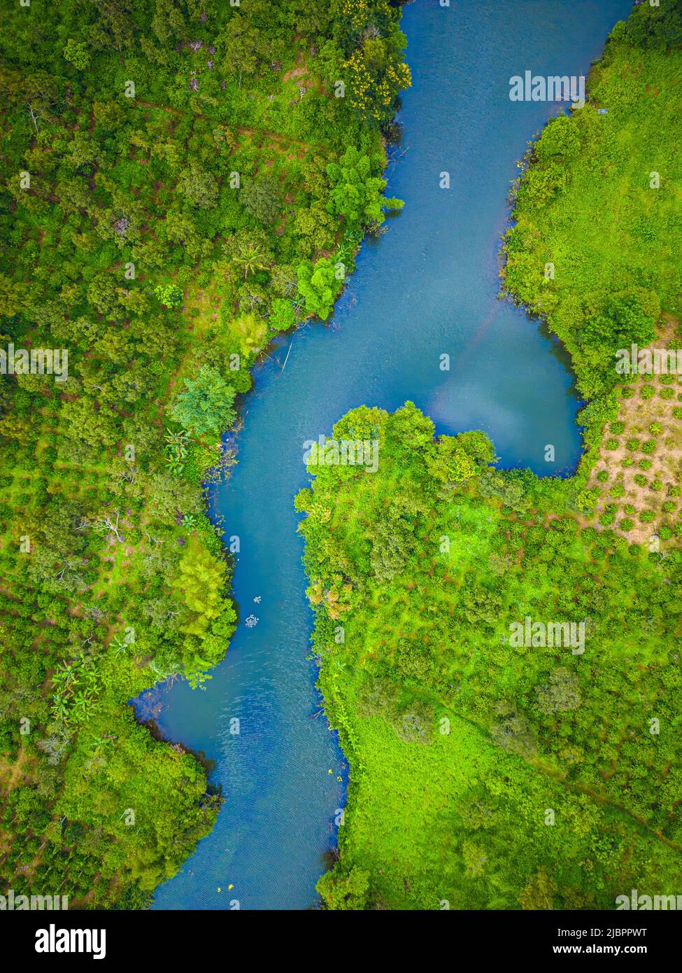 Aerial landscape of winding clear blue river in green field, top view ...