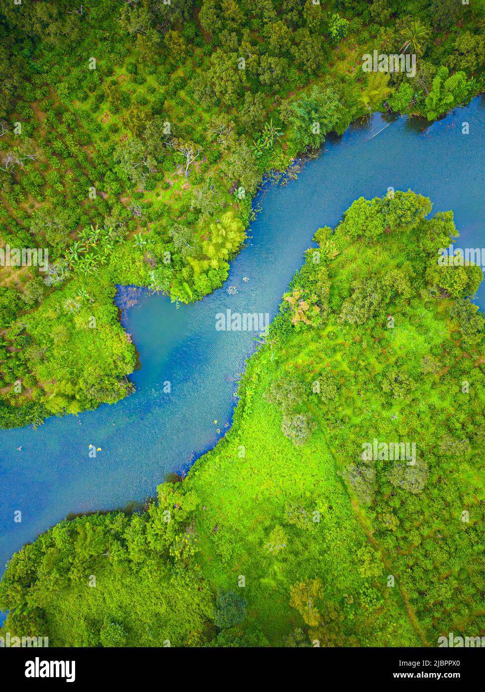 Aerial landscape of winding clear blue river in green field, top view ...