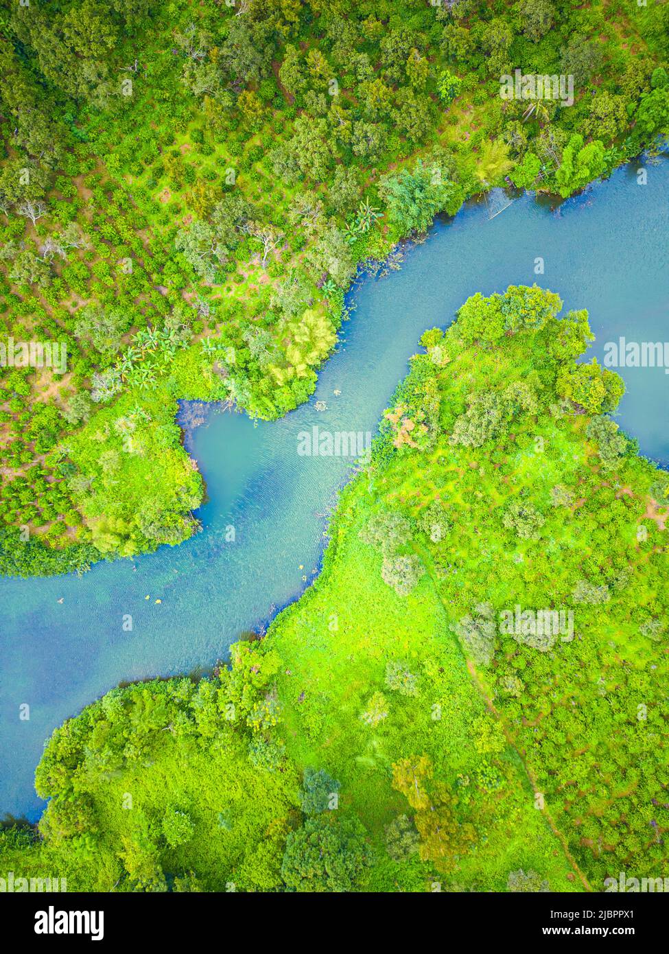 Aerial landscape of winding clear blue river in green field, top view ...