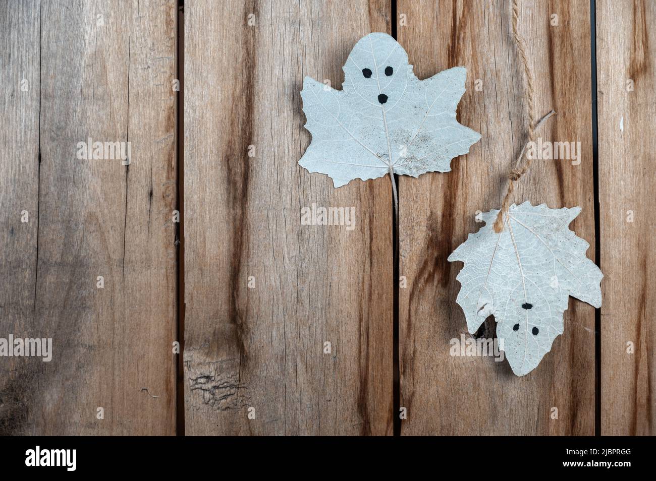 Leaf of a tree with ghost faces drawn against a wooden background ...