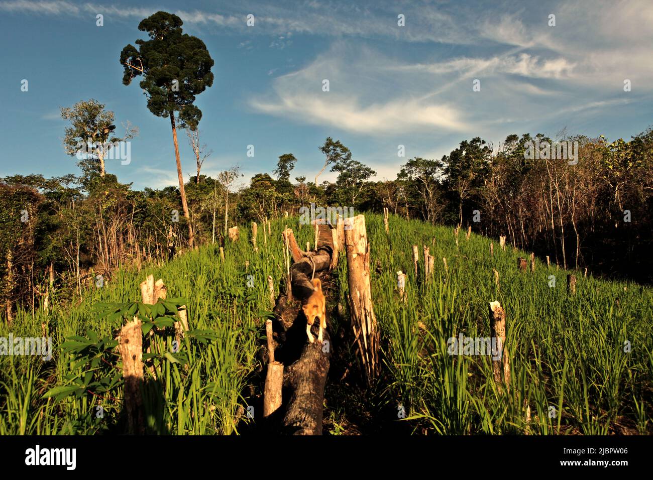 Nanga raun landscape hi-res stock photography and images - Alamy