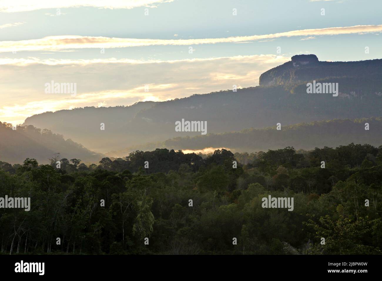 Kalimantan Indonesia Landscape As Indonesia's New Capital Takes Shape,
