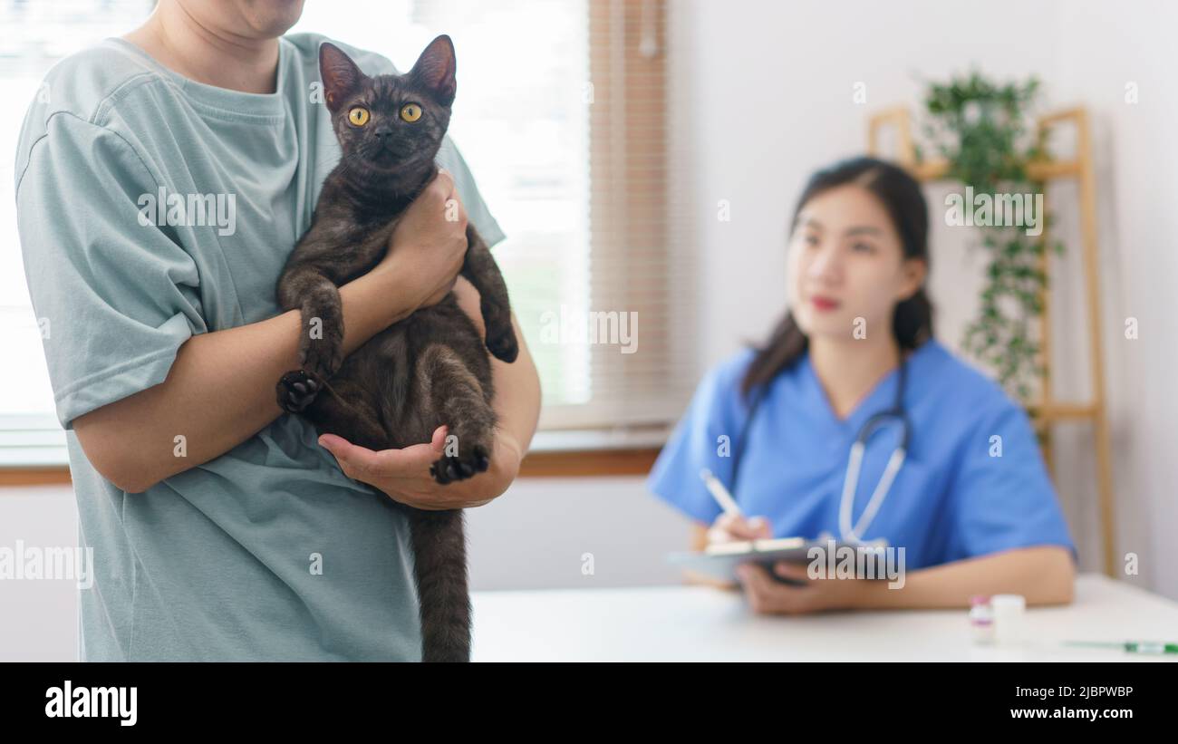 Pet care concept, Female veterinary is writing prescription on ...