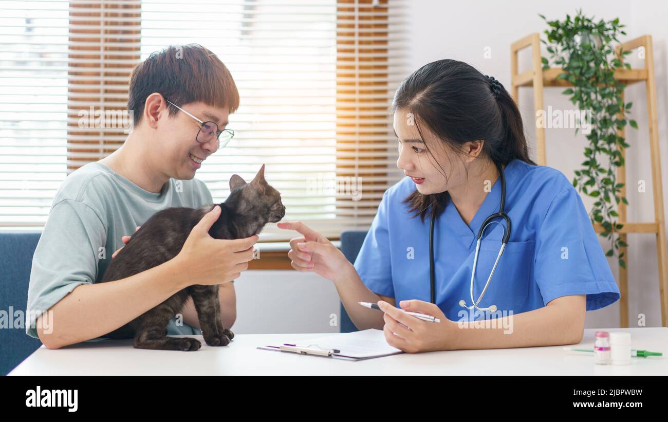 Pet care concept, Female veterinary examining the cat and writing ...