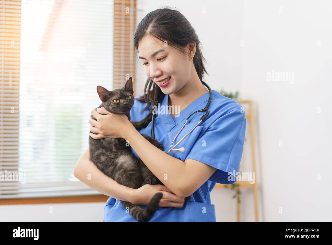Pet care concept, Female veterinary playing and hugging cute cat after ...