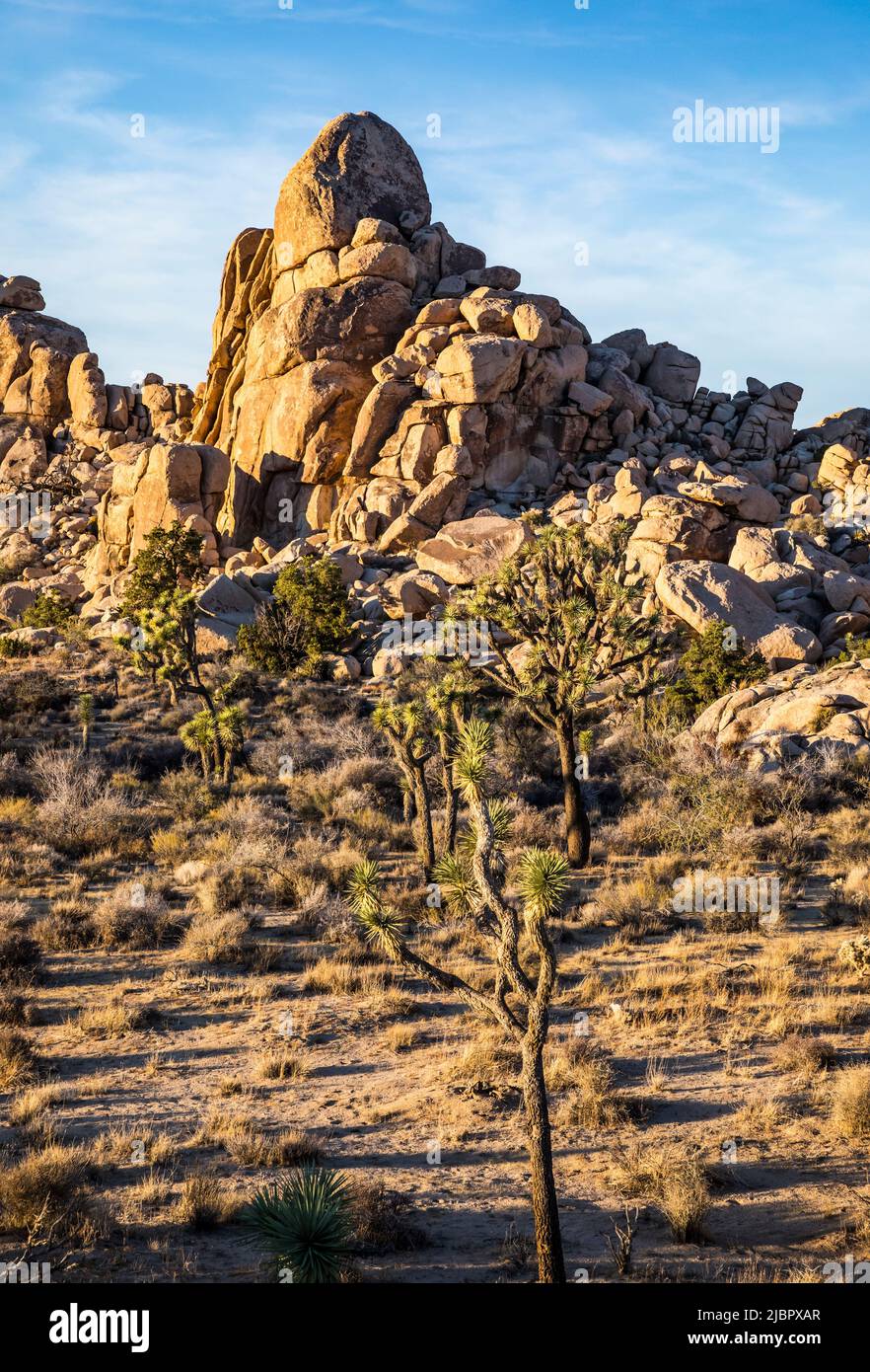 Rock formations in Joshua Tree National Park near sunset Stock Photo ...