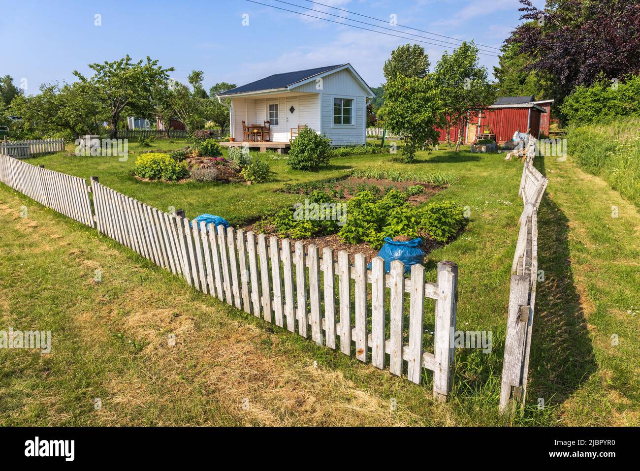 Allotment garden with a growing vegetables Stock Photo - Alamy