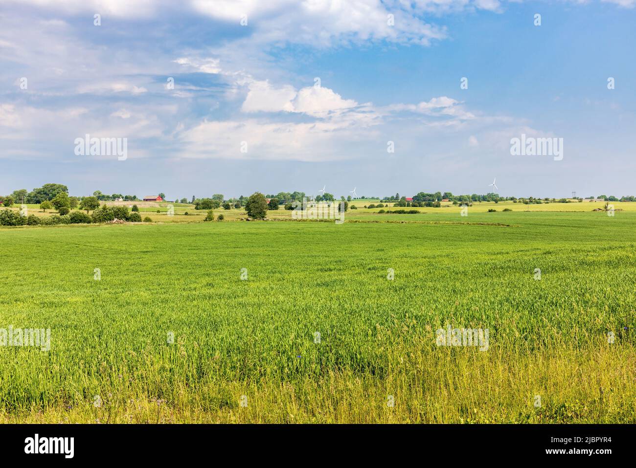Rural landscape view at a plain with green fields Stock Photo - Alamy