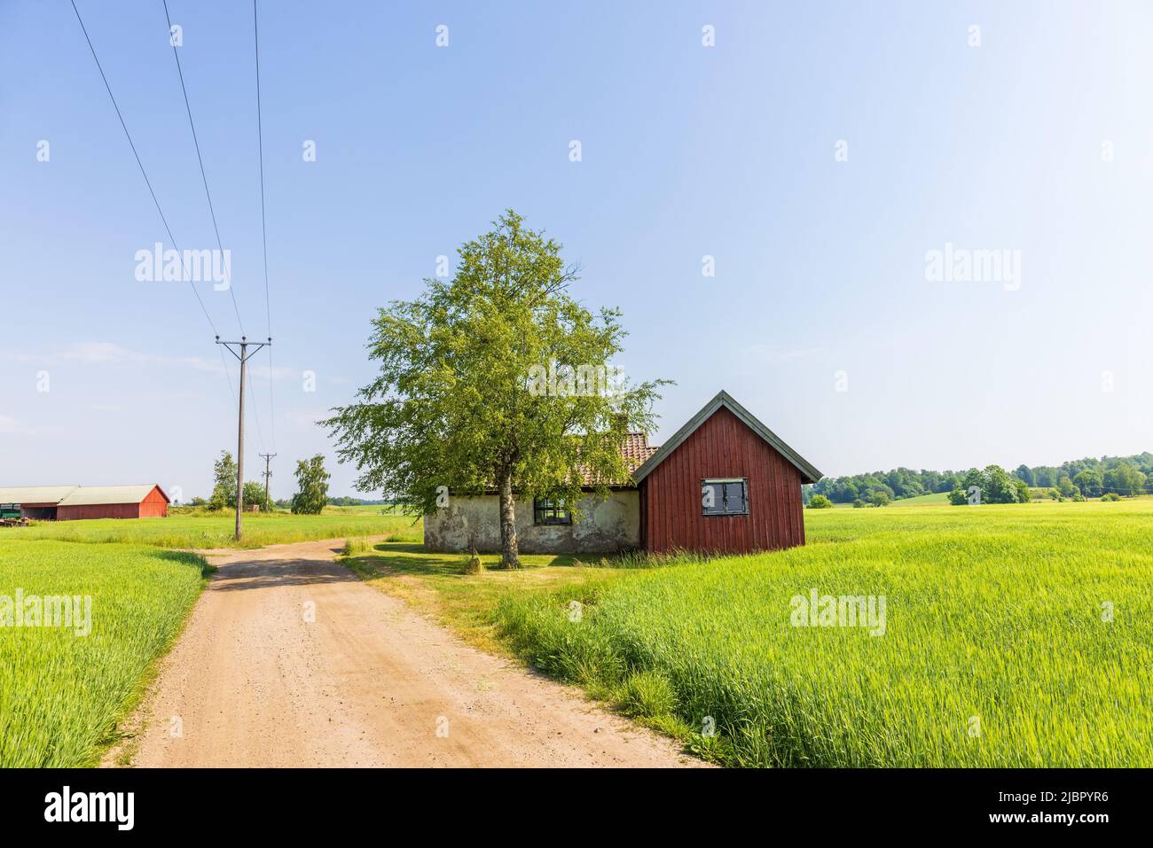 Gravel road in the countryside with a power line and a old shed Stock ...