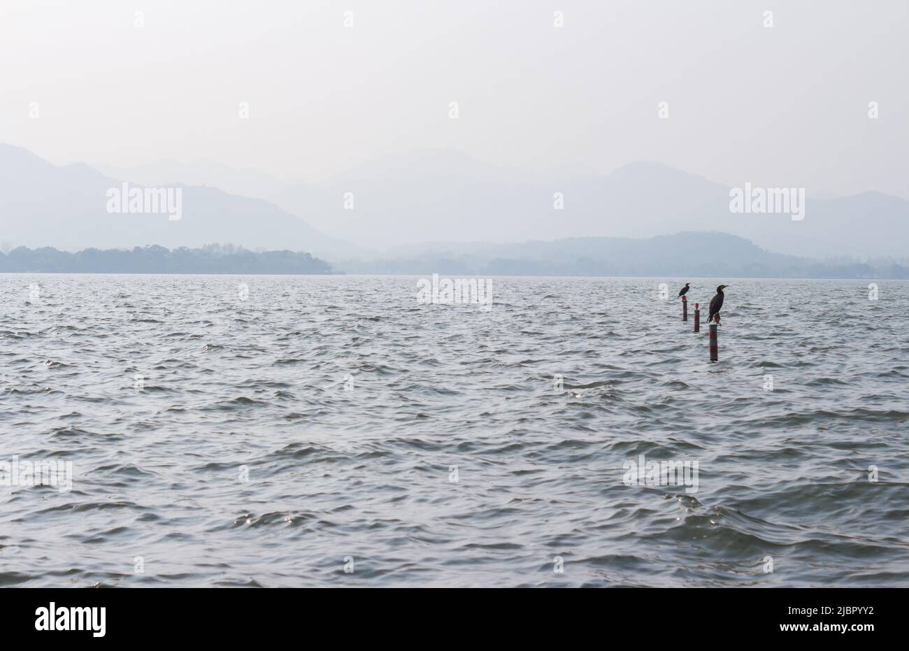 Deepblue hi-res stock photography and images - Alamy