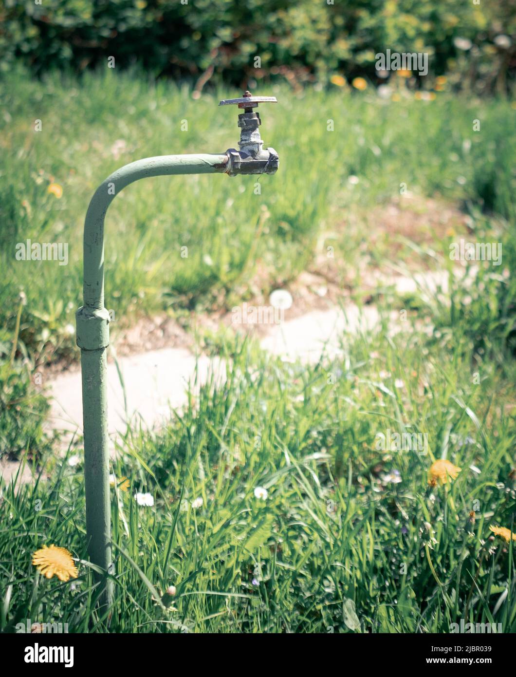 A dry old water valve on the background of green gross garden landscape ...