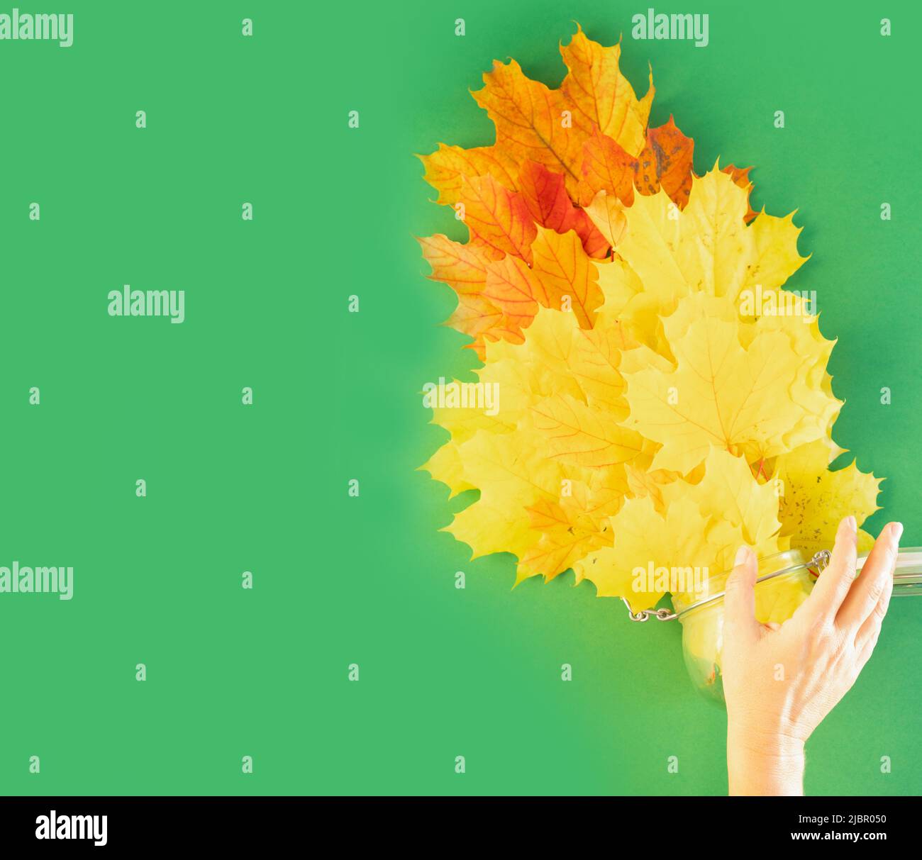 Hand throwing leaves Stock Photo - Alamy