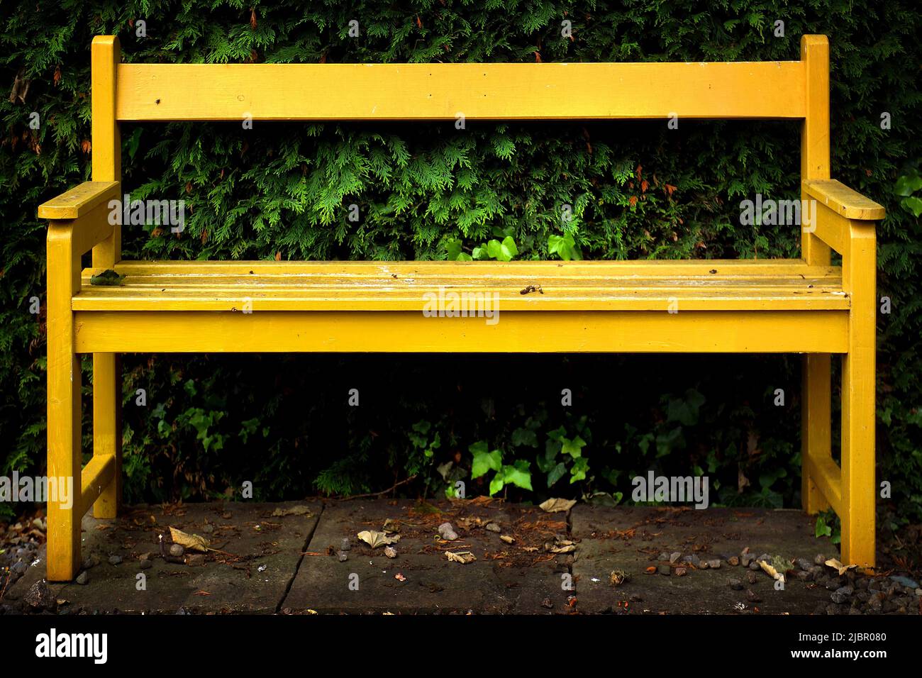 Yellow bench in Hexham Park, Northumberland Stock Photo - Alamy