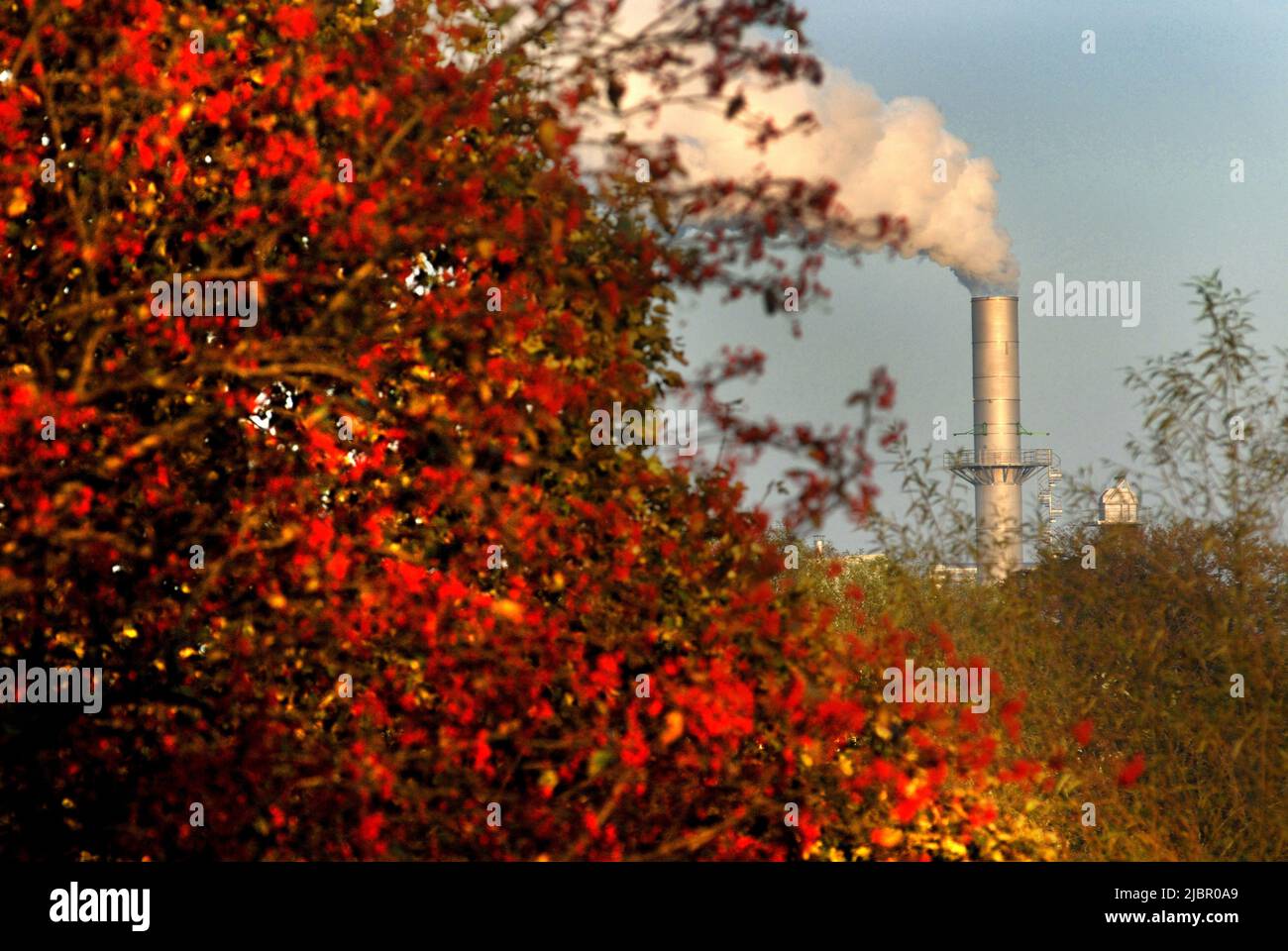 Chimney at the Egger UK Ltd chipboard factory, Hexham, Northumberland ...