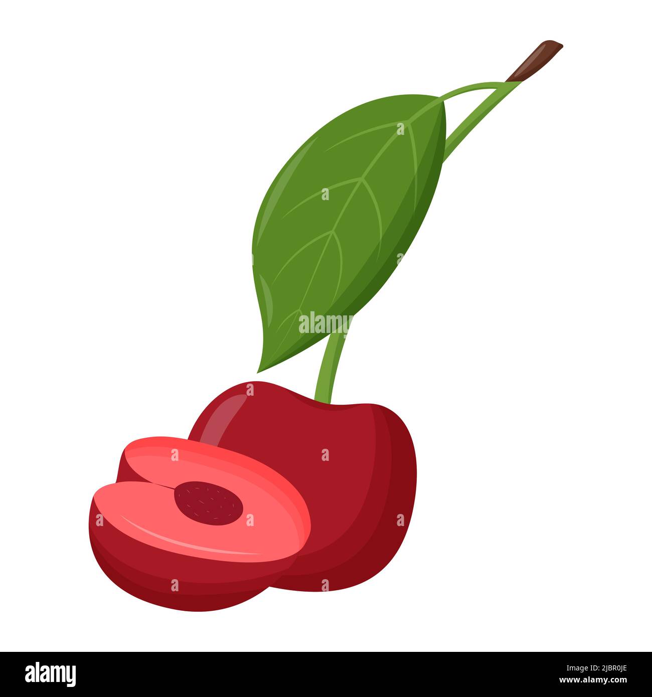 Whole red cherry with green leaf isolated on white background. Flat ...