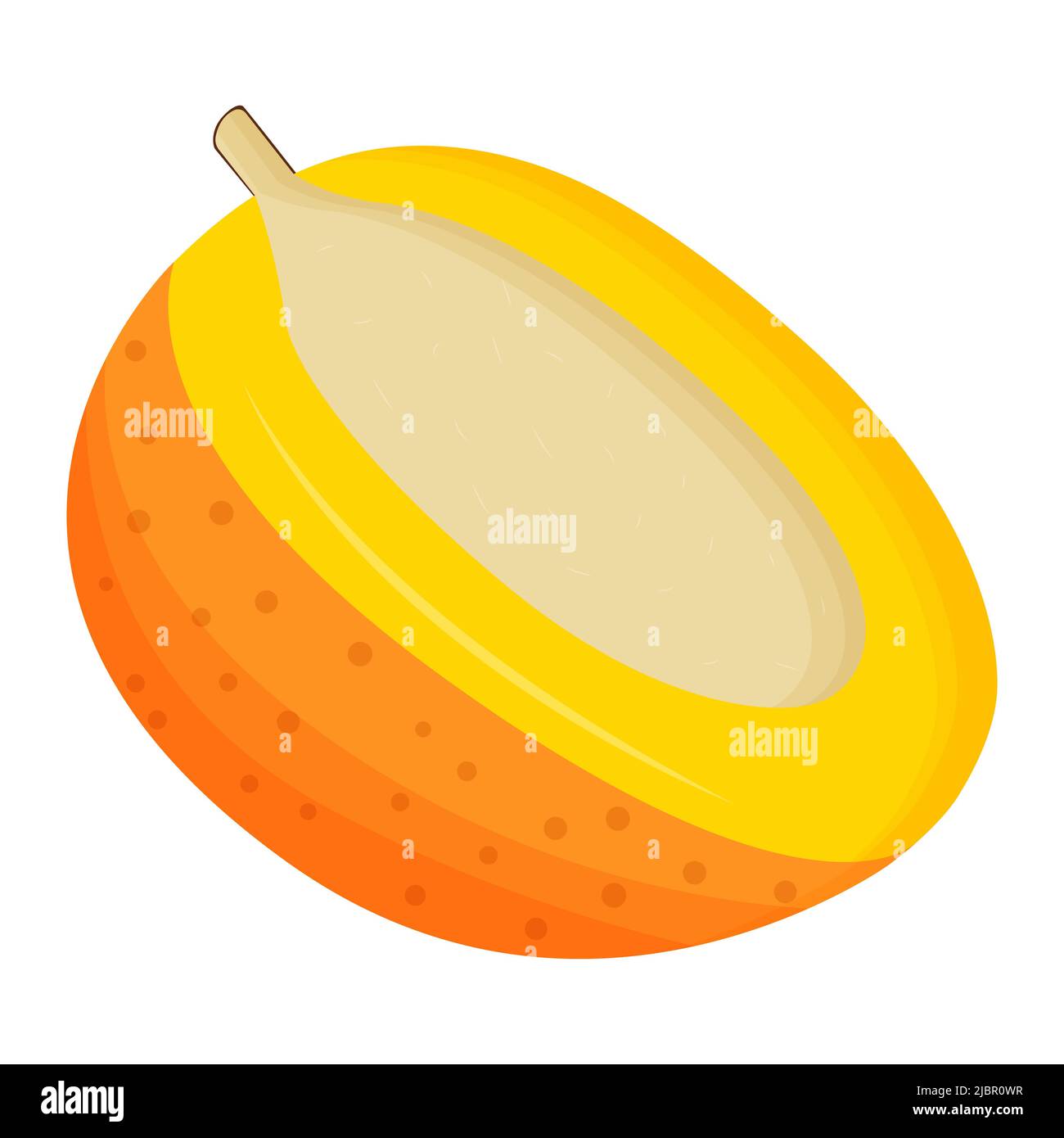 Half of mango on white background. Flat vector illustration Stock ...